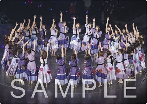 【乃木坂46】去年のドームではまだ7人！！ もっと乃木坂46
