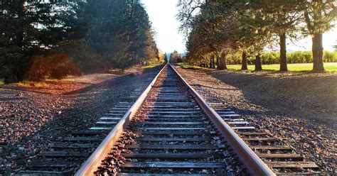 Building A Full Stack Web App With Rails And React Tutorial