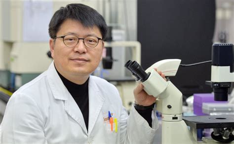 연속 하한가 맞은 네이처셀 또 20 하락계속되는 악재 여파 특징주 파이낸셜뉴스