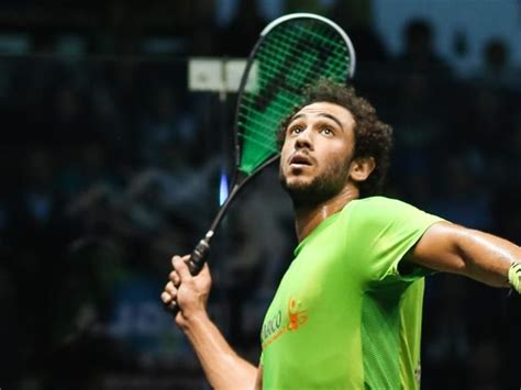 karim abdel gawad and ramy ashour to clash in squash s world