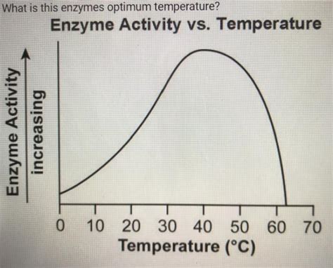 Solved What is this enzymes optimum temperature? Enzyme | Chegg.com
