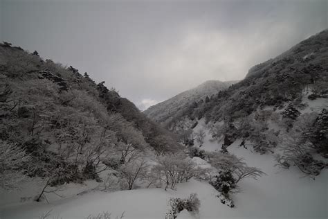 무료 이미지 경치 나무 자연 황야 날씨 등반 시즌 산등성이 정상 회담 눈 산 알프스 산맥 추위에 할라