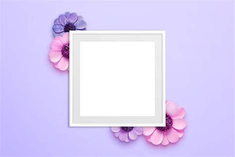 보라색 표면에 꽃으로 둘러싸인 빈 사진 프레임 상단 뷰 플랫 레이 컴포지션 0명에 대한 스톡 사진 및 기타 이미지 0명 꽃