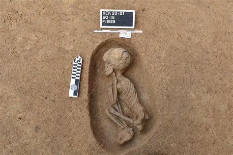 13 Fascinating Facts About Ancient Egypt Ancient Egyp