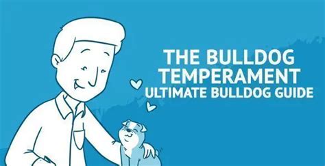 The Bulldog Temperament Ultimate Bulldog Guide For Owning Caring And