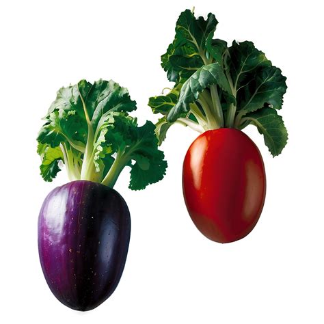 Download Shade Grown Vegetables Png 18