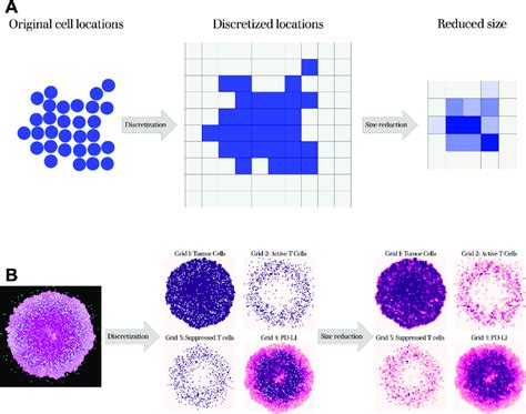 Data Processing Schematic A And Example Simulation B From The Download Scientific Diagram