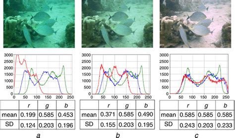 Underwater Colour Correction Result Using Uwb Algorithm 4 Sd