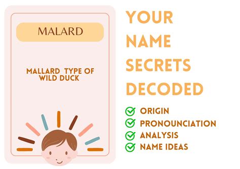 Malard Boy Name Meaning And Pronunciation
