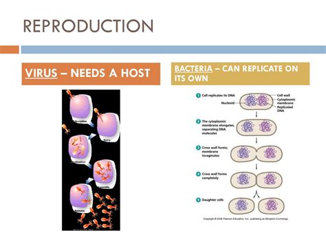 WARM UP MINS READ AND MAKE T CHART Ppt Download