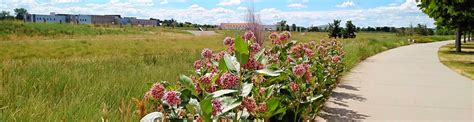 Support Ppan Peopleandpollinators