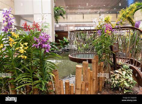 Singapore August 25 2024 Small Observation Platform With A