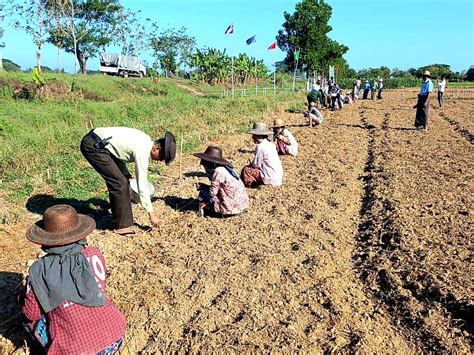 သာပေါင်းမြို့နယ်၊ အောင်တပ် ကျေးရွာအုပ်စုတွင် ၂၀၂၃ ၂၀၂၄ ခုနှစ်၊ လိုင