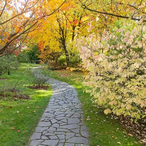 19 Stunning Paver Walkway Ideas For An Outdoor Makeover