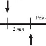 Illustration Of The Timeline For The Analysis Download Scientific Diagram