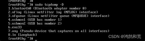 tcpdump命令详解 CSDN博客