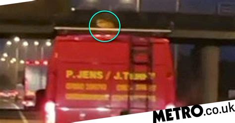 Kent Fox Spotted Van Surfing In Middle Of 70mph Traffic On M2 Metro News