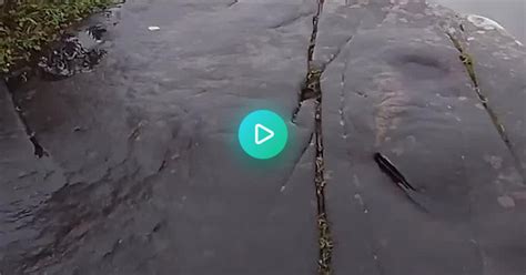 Anxiety Album On Imgur