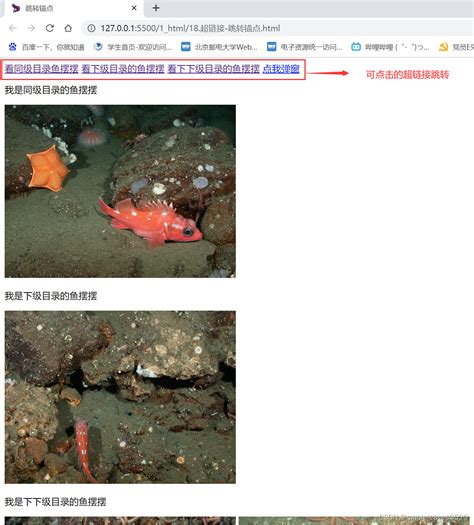 零基础前端vue的小白学习路——html基础（三）超链接、列表、表格、表单、框架标签、字符实体vue 超链接 Csdn博客