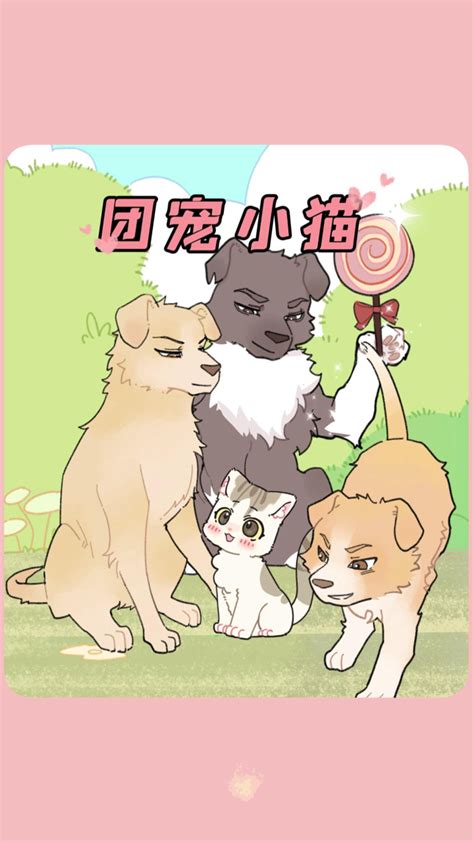 大佬哥哥们的团宠小娇包 高清1080P在线观看平台 腾讯视频