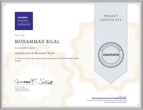 Excelskills Datavisualization Continuouslearning Coursera… Muhammad Bilal