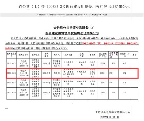 县自然资源局：创新供地模式 靶向保障需求——以弹性年期出让方式成功出让1宗国有建设用地使用权 工作动态 大竹县人民政府
