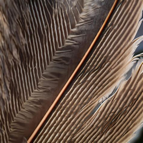 Premium Ai Image Feather Texture