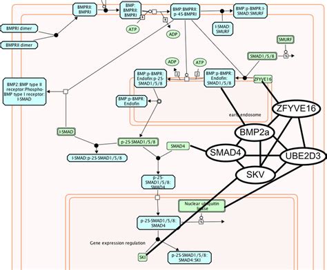 Shared Sub Graphs At The Intersection Of Distinct Pathway Commons