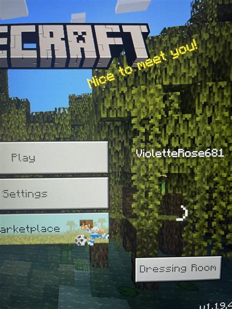 [bedrock] v1 19 41 skin loading issues r minecrafthelp