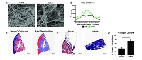 Normalized Orientation Distributions And Pixel Classification Allow