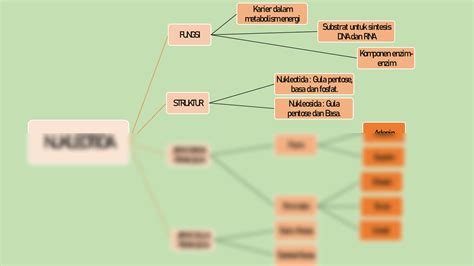 SOLUTION Mindmap Biokimia Studypool