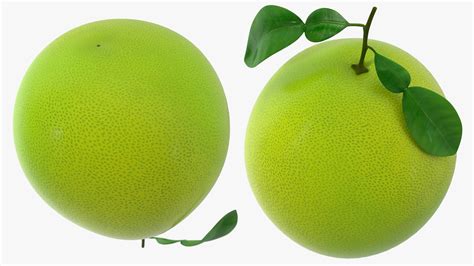 Pomelo Green Fruits At Lauren Murphy Blog