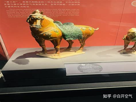 西安旅游记录 知乎