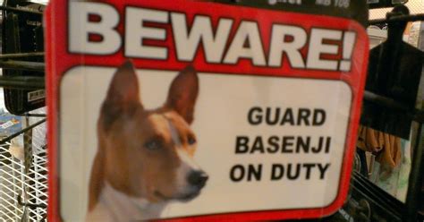 Nick Eddy Relents Youngs 3