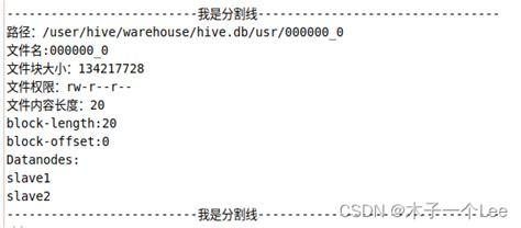 大数据开源框架之hdfs编程实践1编程实现打开一个hdfs中的文件并读取其中的数据并输出。 2编程实现新建一 Csdn博客