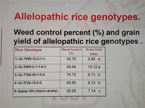 Dr Ibrahim Aboueldarag On Linkedin Allelopathy In Egyptian Rice