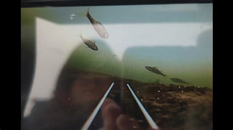 НАШЛИ СТАДО КАРАСЕЙ тест подводной камеры и эхолота Youtube