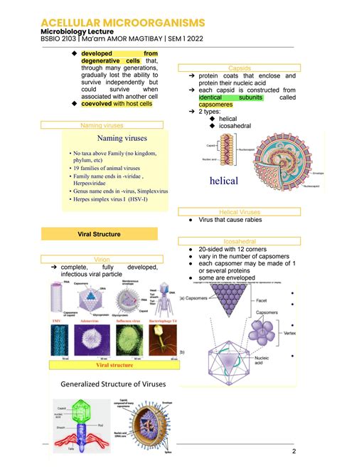 SOLUTION Accelular Microorganisms Studypool