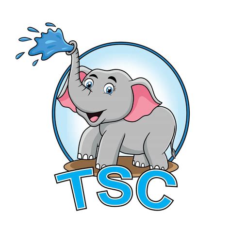 The Surface Cleaners Llc Slidell La