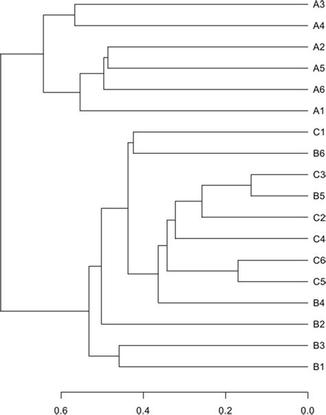 Multiple Samples Similarity Tree Download Scientific Diagram