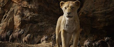 Aslan Kralın Sırrı Gerçeklik