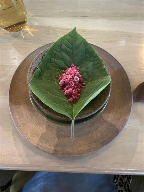 Restaurant Botanic Adelaide Australia R Finedining