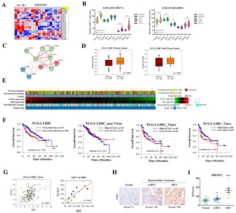 Momelotinib Suppresses The Stem Cell Like Phenotype Of Vhcc A