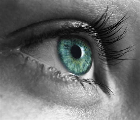 Eye By Science Photo Library