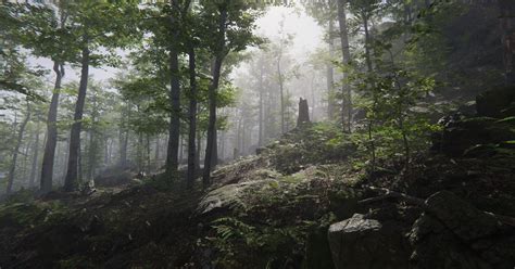 Forest Environment Dynamic Nature 3d Vegetation Unity Asset Store