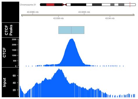 9 7 Peak Calling Computational Genomics With R