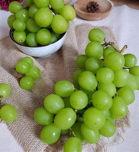 Anggur Hijau