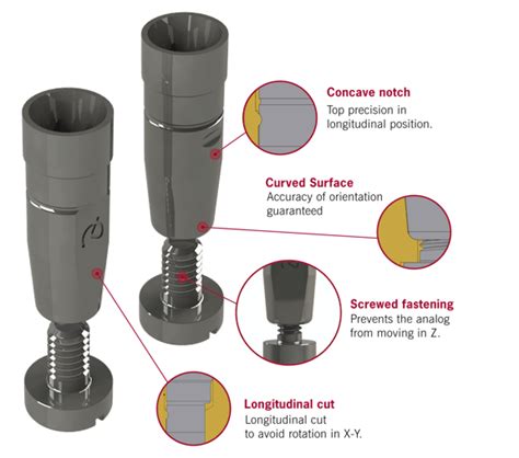 Digital Analog Dynamic Abutment Solutions