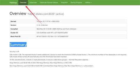 HDFS NAMENODE 安全模式 阿里云开发者社区