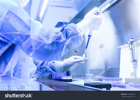 1 145 Biosafety Testing 图片、库存照片和矢量图 Shutterstock